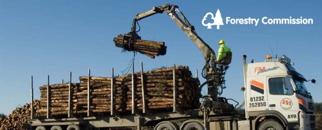 Where does our timber come from? | Blog | George Hill Timber & Building ...